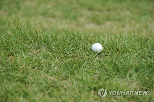 새벽에 골프장 간 까닭은 해저드 빠진 공 훔친 일당 징역형 디스패치 뉴스는 팩트다