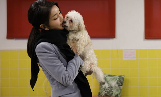 “김건희법 도둑 처리”…민주당은 왜 기습처리했나 - DogDrip.Net 개드립