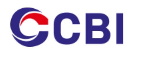 카카오 김범수 동생, 코스닥 상장사 CBI 2대주주로…사내이사도 맡는다