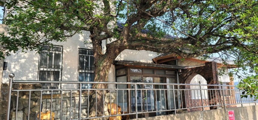 Four Local Heritage Sites in Mokpo Recognized for Modern Era Value ...