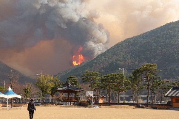 산청 산불 7일째…지리산 30~40㏊ 태워